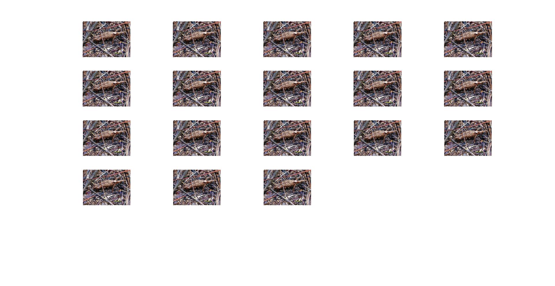 Selective Search As Object Recogntion